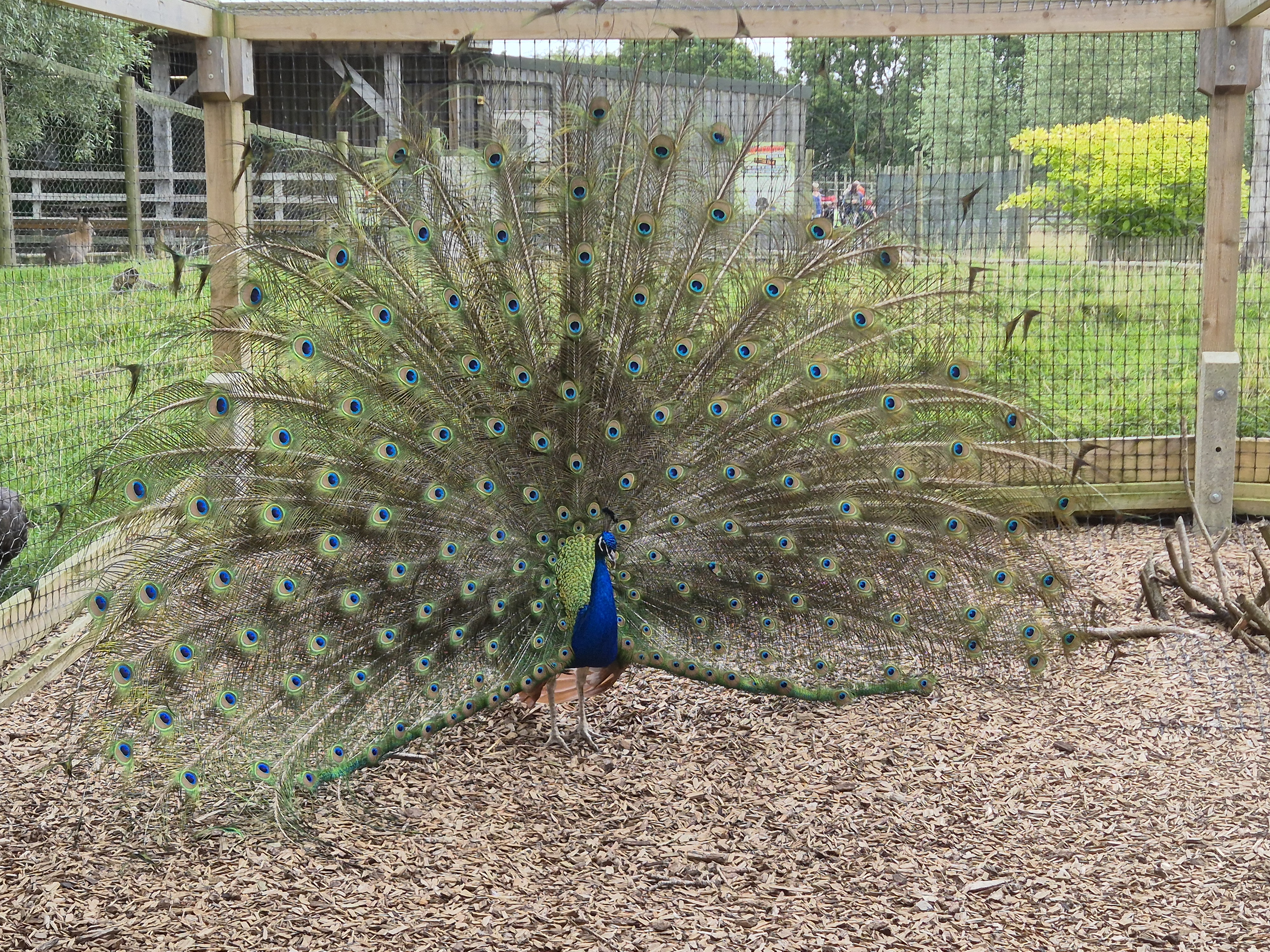 Review: Knockhatch Adventure Park – The Brighton Bucket List